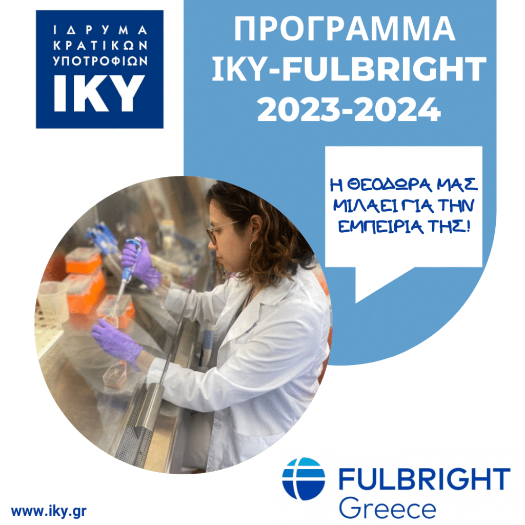 Τheodora Chatzilygeroudi speaks to us about her scholarship! - IKY