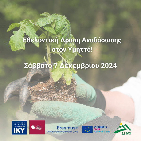Voluntary Reforestation Action with the Erasmus+ and European ...